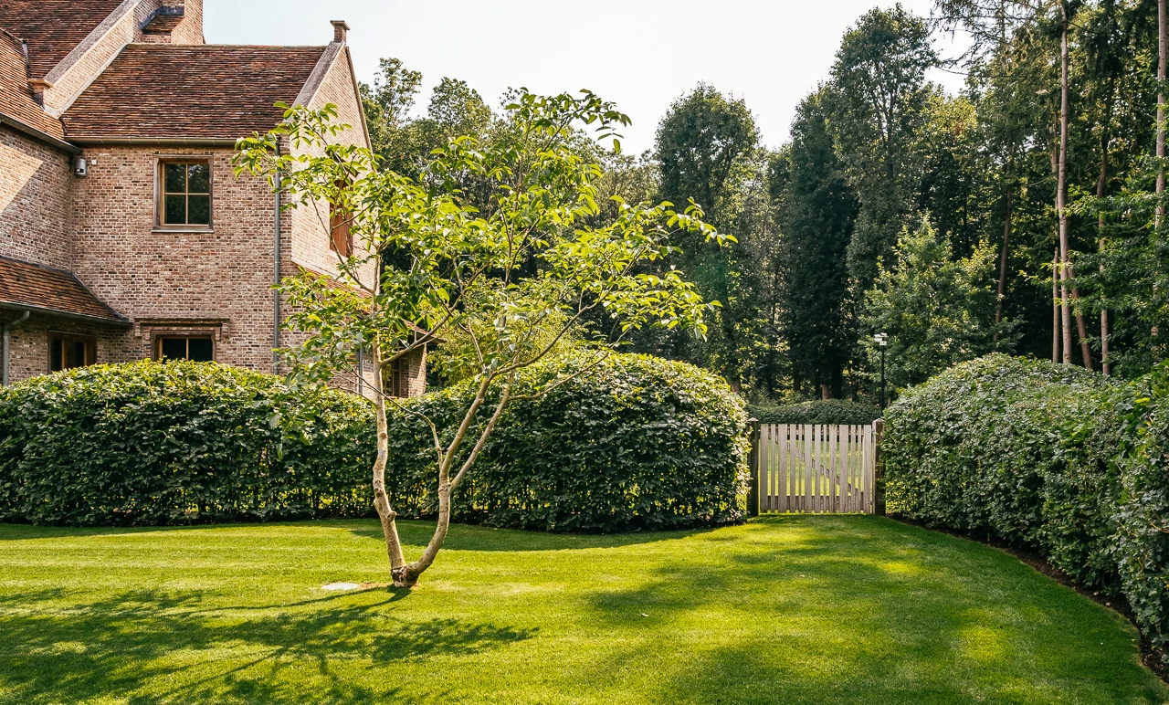 Weelderige Engelse tuin in Hertsberge | Studio Verde